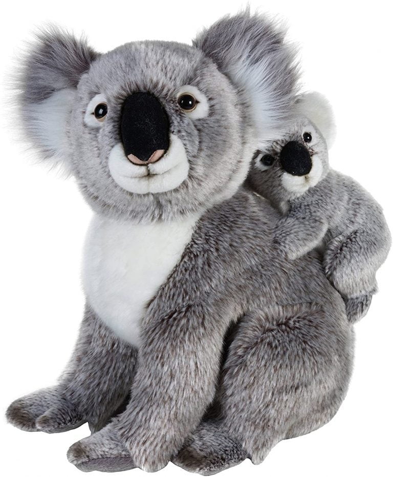 🥰 Los mejores peluches de koalas 🥰 - Peluchemanía