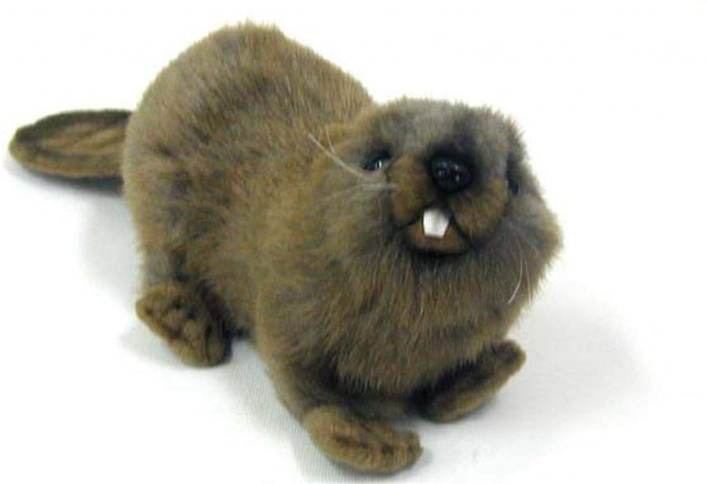 🥰 Los mejores peluches de castores 🥰 - Peluchemanía