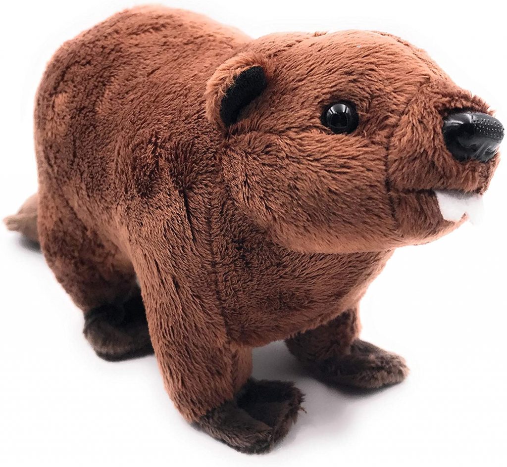 🥰 Los mejores peluches de castores 🥰 - Peluchemanía
