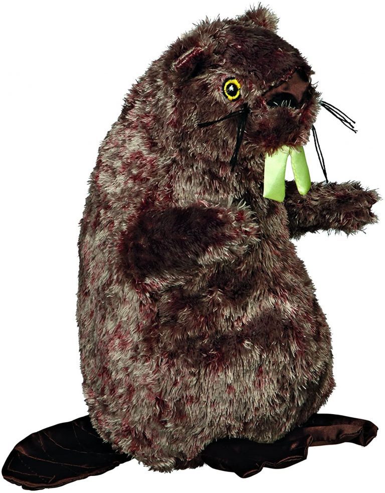 🥰 Los mejores peluches de castores 🥰 - Peluchemanía