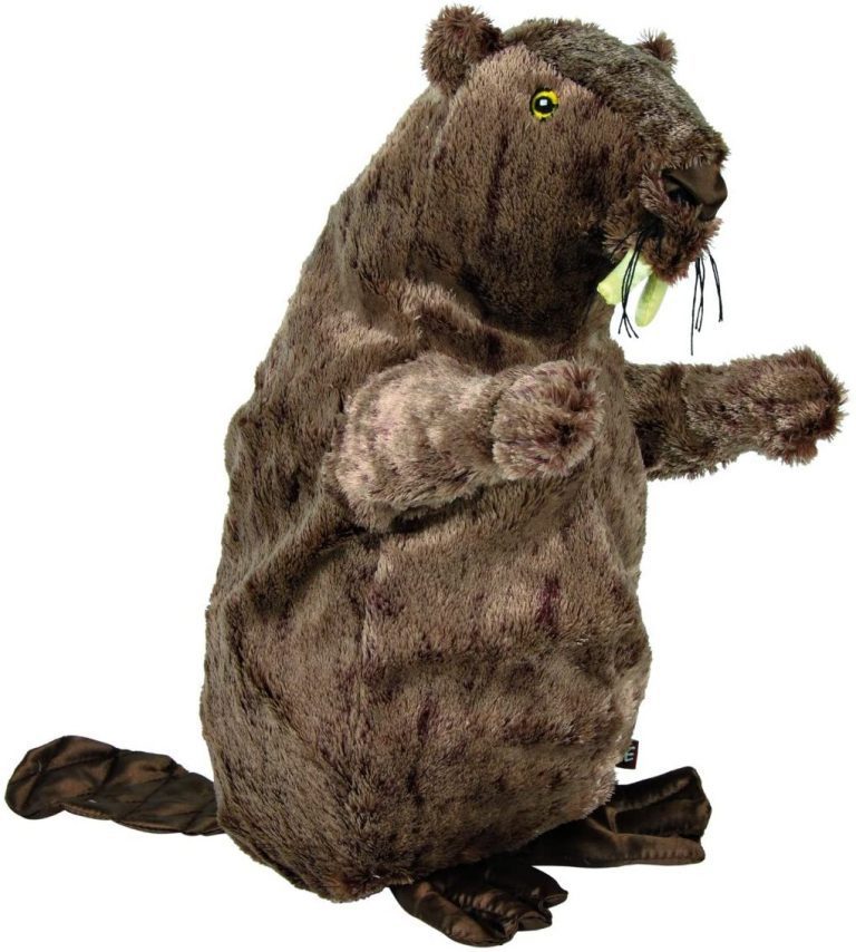 🥰 Los mejores peluches de castores 🥰 - Peluchemanía