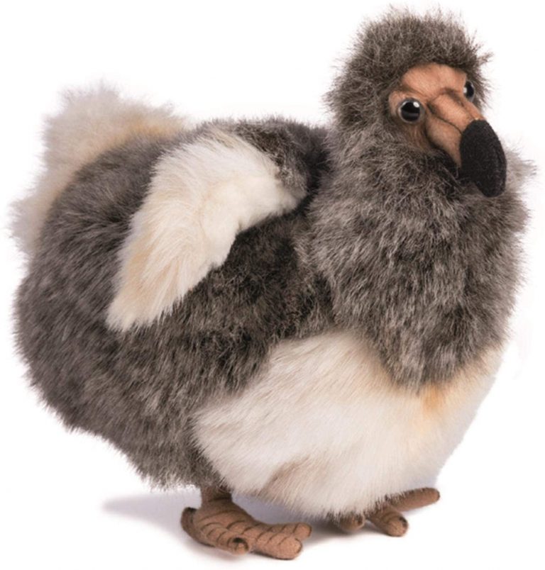 🥰 Los mejores peluches de dodos 🥰 - Peluchemanía
