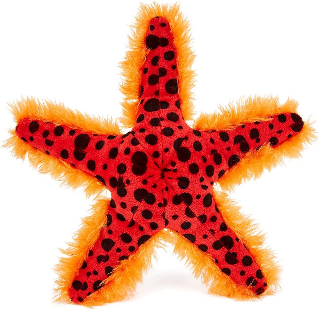 🥰 Los mejores peluches de estrellas de mar 🥰 - Peluchemanía
