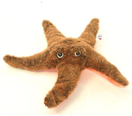 🥰 Los mejores peluches de estrellas de mar 🥰 - Peluchemanía