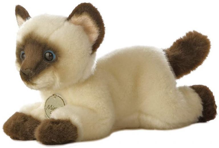 🥰 Los mejores peluches de gatos 🥰 - Peluchemanía