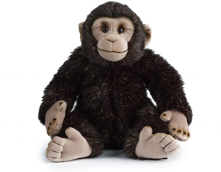 🥰 Los mejores peluches de monos 🥰 - Peluchemanía